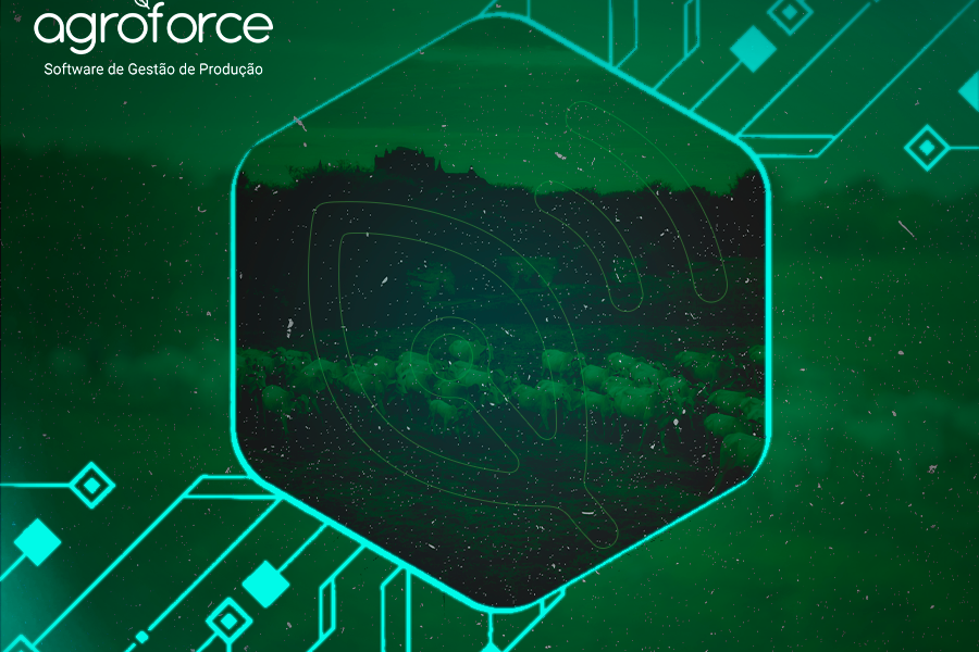 Blog – Agroforce